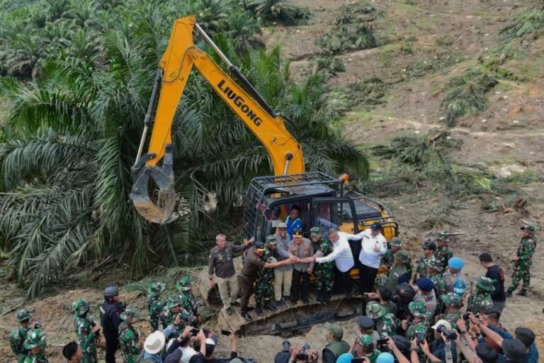 300 Ha Kebun Sawit di Tesso Nilo Dihutankan Kembali - Sawit Kita